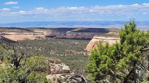 10 Best Hikes and Trails in Black Ridge Canyons Wilderness | AllTrails