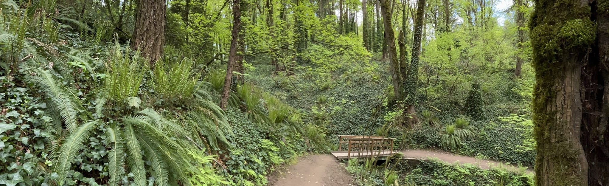 MAC Trail, Oregon - 416 Reviews, Map | AllTrails