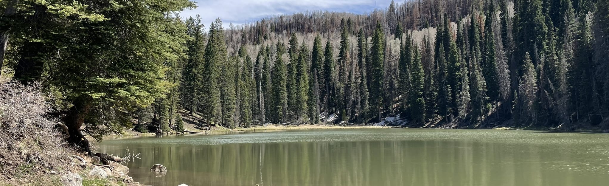 Clark Lake Loop Trail: 74 Reviews, Map - Utah | AllTrails