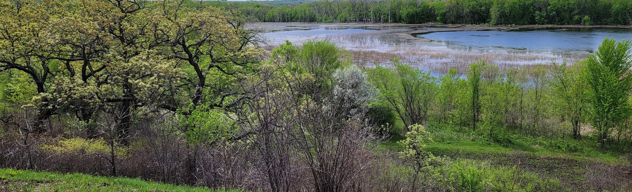 Louisville Swamp Trail: 321 Reviews, Map - Minnesota | AllTrails