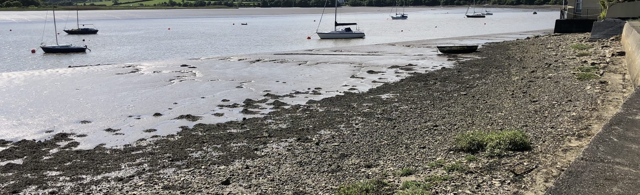 Bere Alston, Whitsam and Weir Quay Circular, Cornwall, England - 4 ...