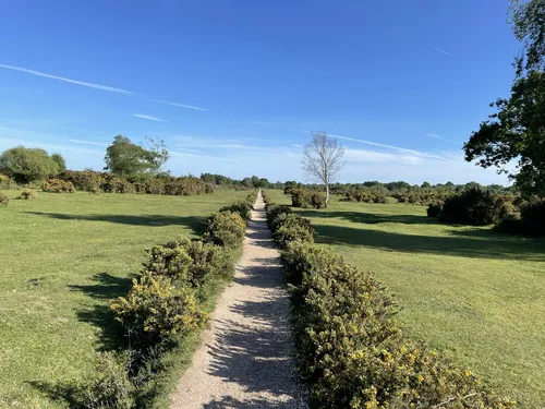 10 Best Hikes and Trails in New Forest National Park | AllTrails