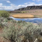 Dusty Lake to Ancient Lakes, Washington - 314 Reviews, Map | AllTrails