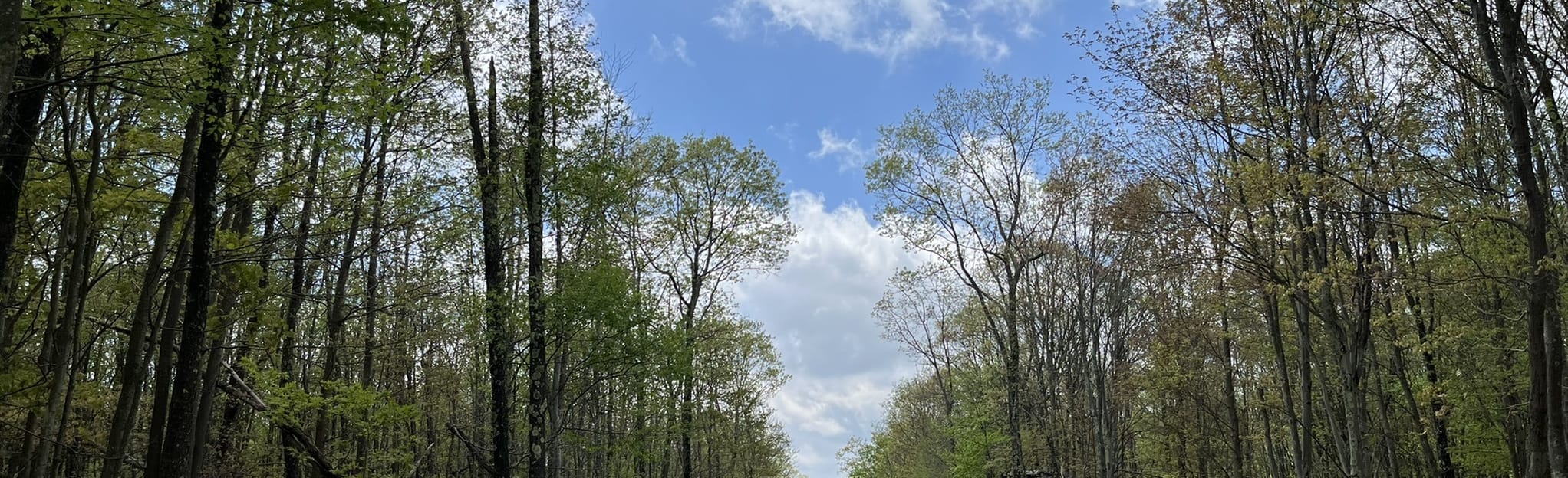 Meshach Browning Trail System via Bumble Bee Road, Maryland - 61 ...