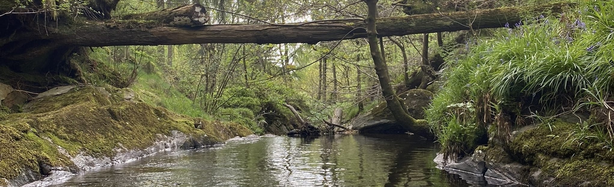 Glen Helen and Rhenass Waterfall, Isle of Man, Isle of Man - 12 Reviews ...