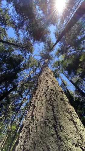 Best Hikes and Trails in UBC Endowment Lands | AllTrails