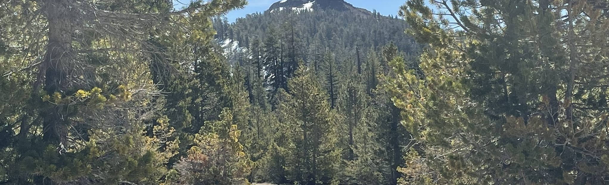 Strawberry Lake OHV Trail, California - 39 Reviews, Map | AllTrails