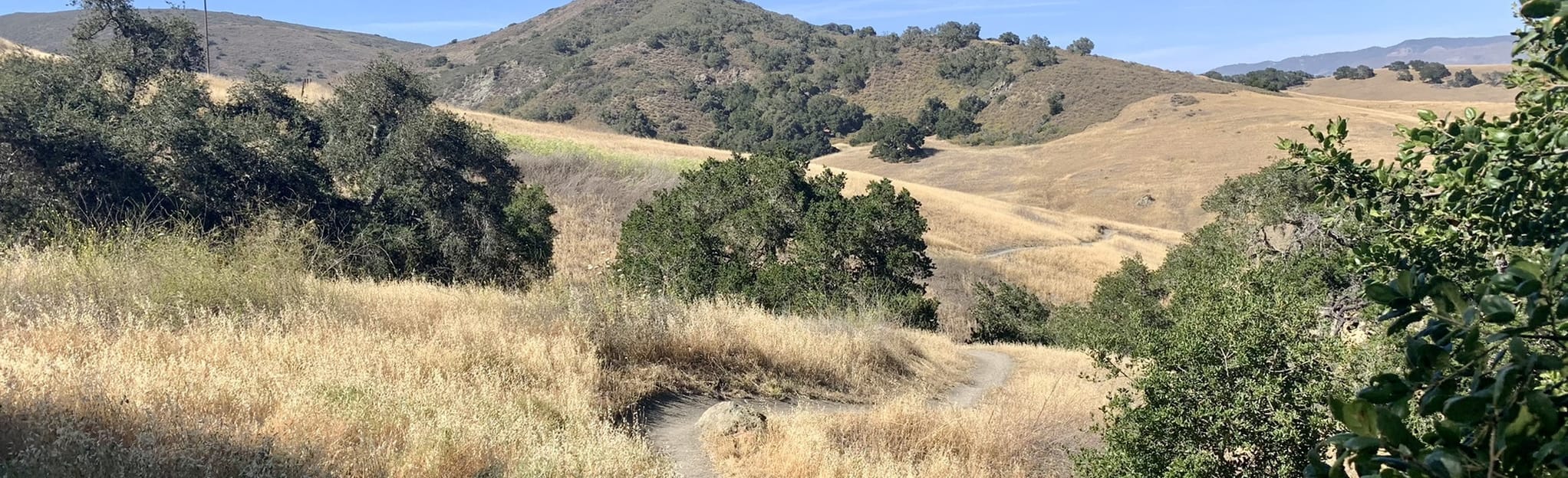 Johnson Ranch Loop Trail, California - 943 Reviews, Map | AllTrails