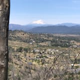 Wintu Loop, California - 235 Reviews, Map | AllTrails