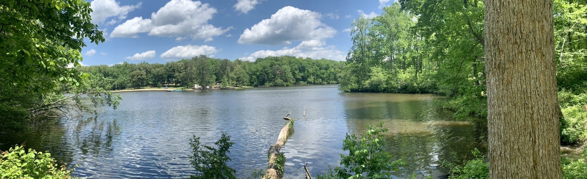 Bear Creek Lake Loop Trail, Virginia - 268 Reviews, Map | AllTrails