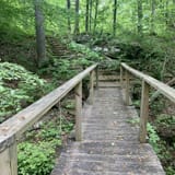 Cumberland State Forest Multiuse Trail, Virginia - 40 Reviews, Map ...