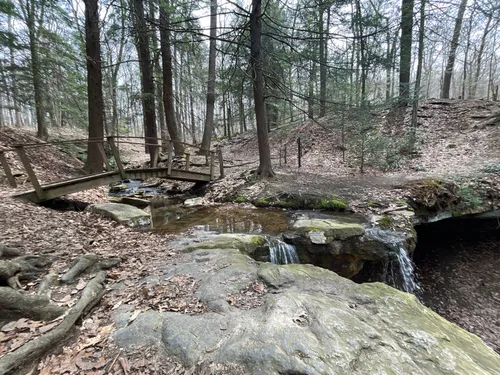 Best Hikes and Trails in Linn Run State Park | AllTrails