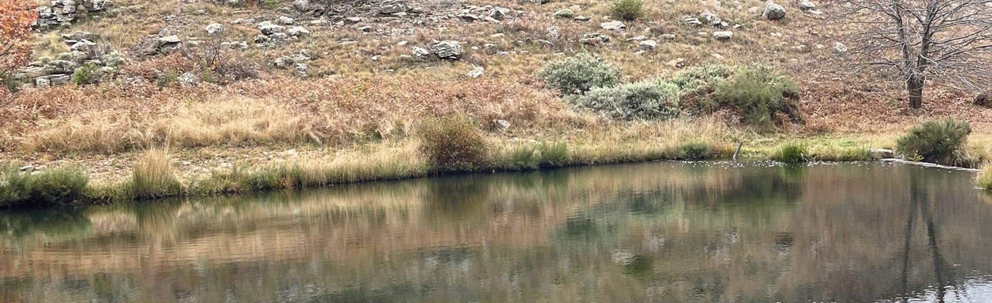 Beacon Trail Loop: 1 Reviews, Map - Mpumalanga, South Africa | AllTrails