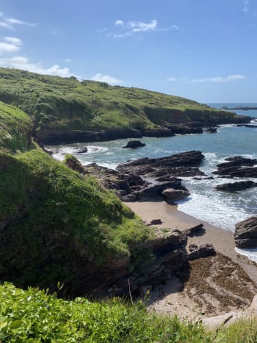 2023 Best 10 Wildflowers Trails in South Devon Area of Outstanding ...