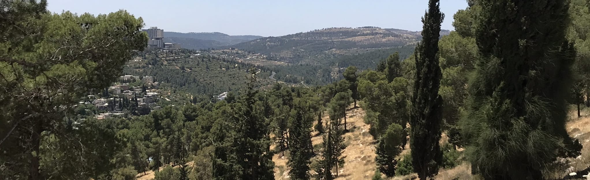 Jerusalem Forest, Yad Va Shem and Mount Hertzl, Jerusalem, Israel - 12 ...