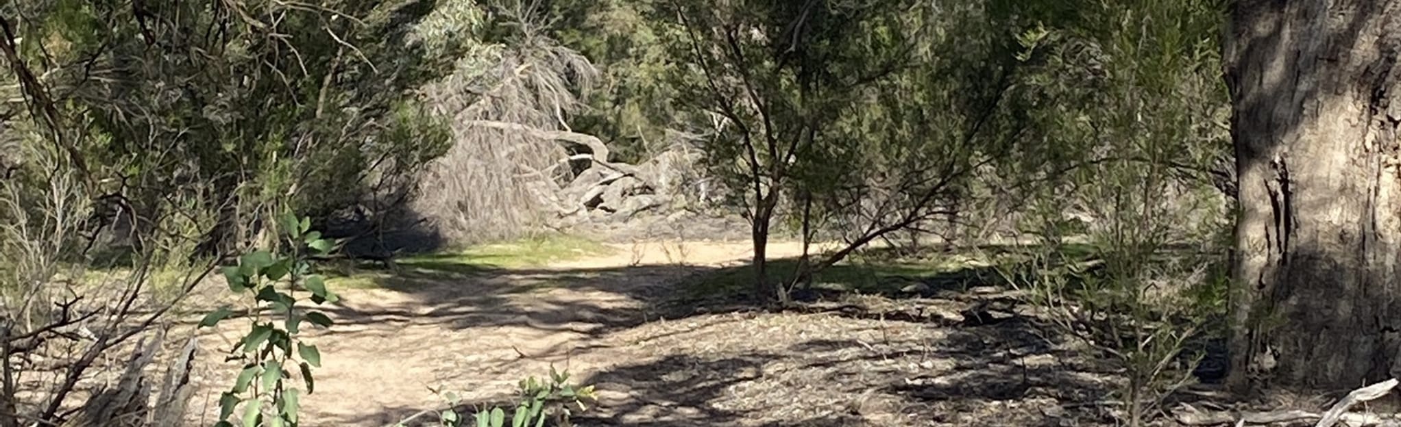 Lake Hattah Woodland Walk, Victoria, Australia - 10 Reviews, Map ...