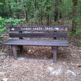 Pitcher Plant Trail, Texas - 230 Reviews, Map | AllTrails