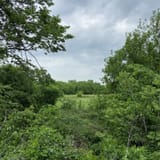 Flint Hills Nature Trail, Kansas - 249 Reviews, Map | AllTrails