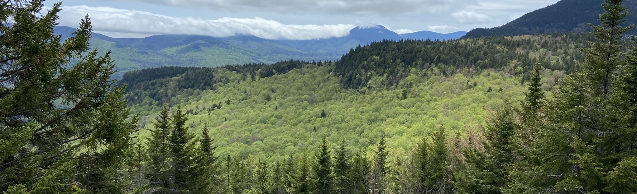 Attitash Trail: 27 Reviews, Map - New Hampshire | AllTrails