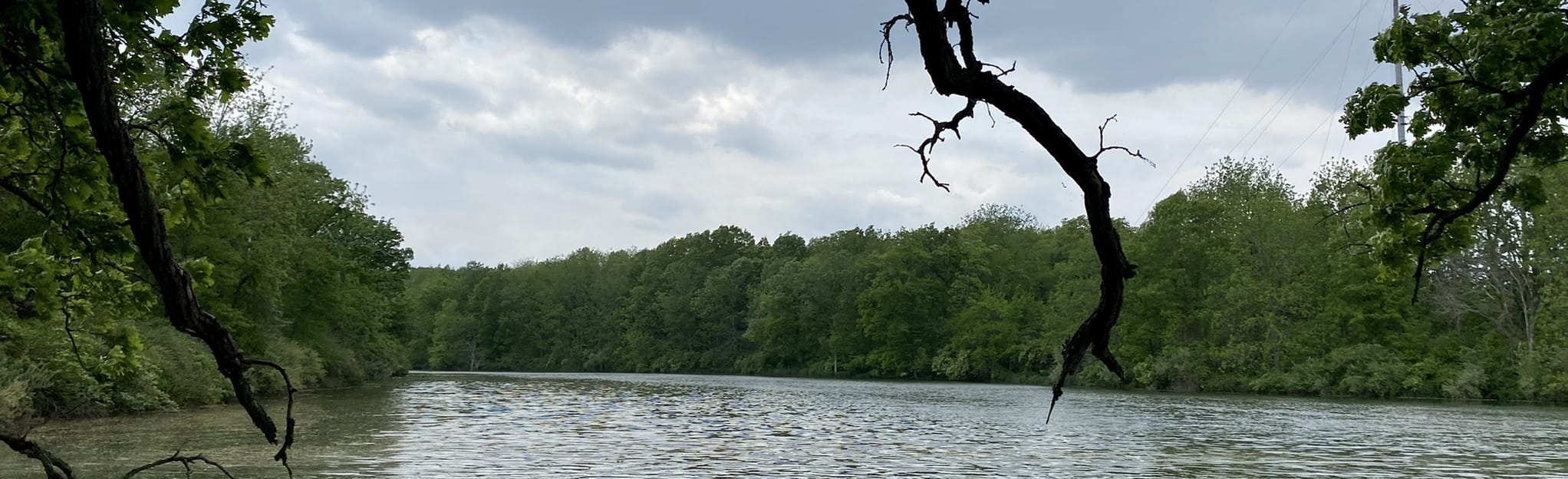 Trail 4 and Fisherman's Trail: 179 Reviews, Map - Illinois | AllTrails