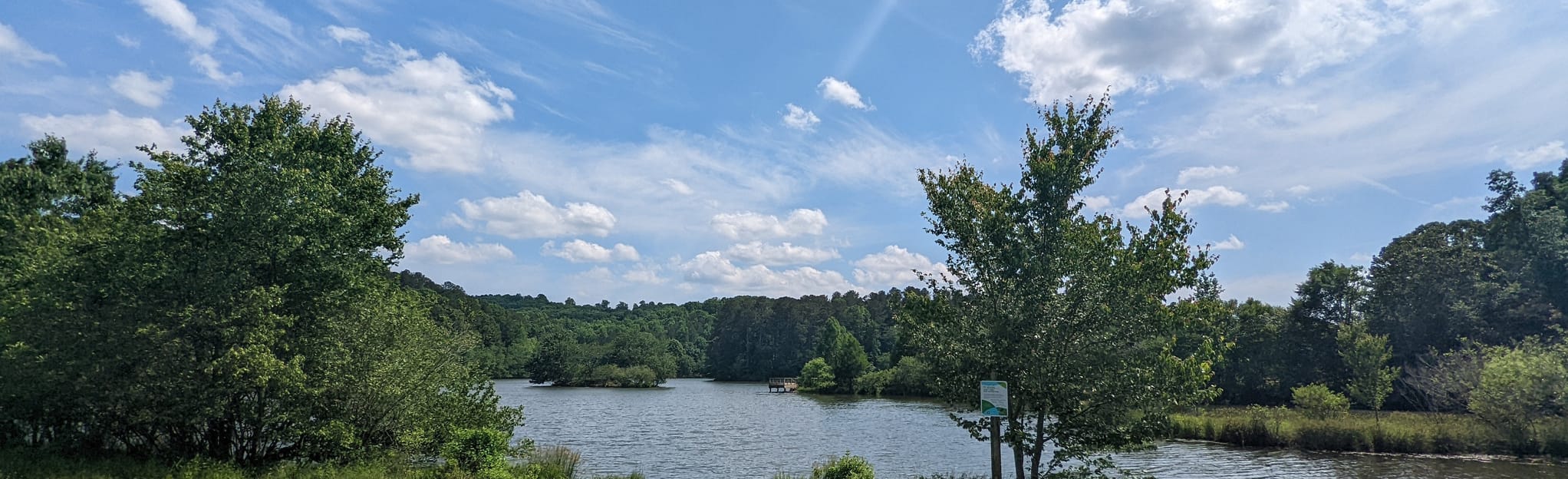 Miller Lake Trail, Georgia - 1,485 Reviews, Map | AllTrails