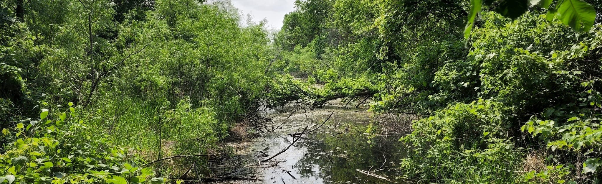 Fish Lake East Trail, Minnesota - 45 Reviews, Map | AllTrails