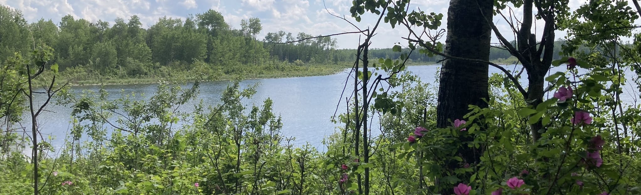 Blackfoot Provincial Recreation Area Equestrian Trails: 4 Reviews, Map ...