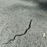 Lake Youngs, Washington - 338 Reviews, Map | AllTrails