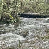 Taggerty River Lookout Loop, Victoria, Australia - 67 Reviews, Map ...