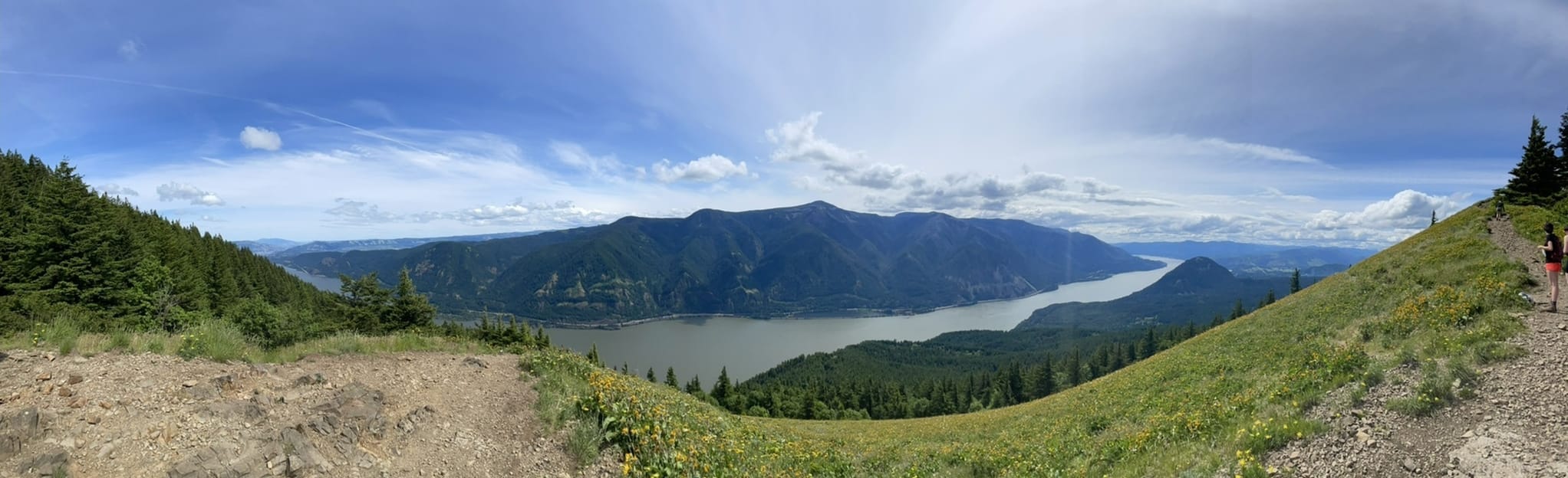 Augspurger Mountain: Dog and Cat Trail , Washington - 29 Reviews, Map ...