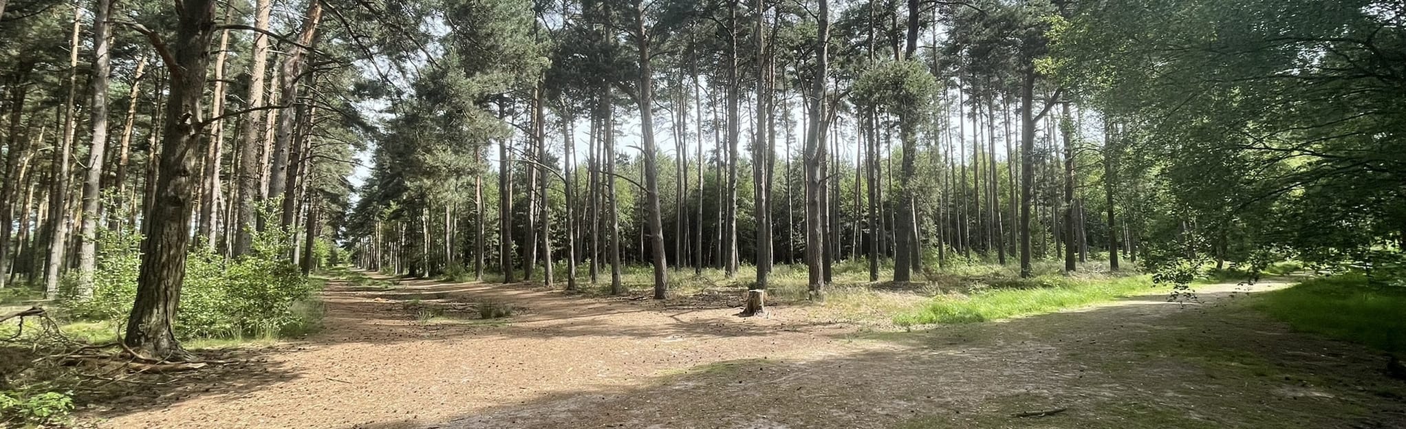 Ostler’s Plantation: 36 Reviews, Map - Lincolnshire, England | AllTrails