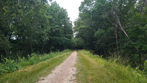 10 Best Trails and Hikes in Needham | AllTrails