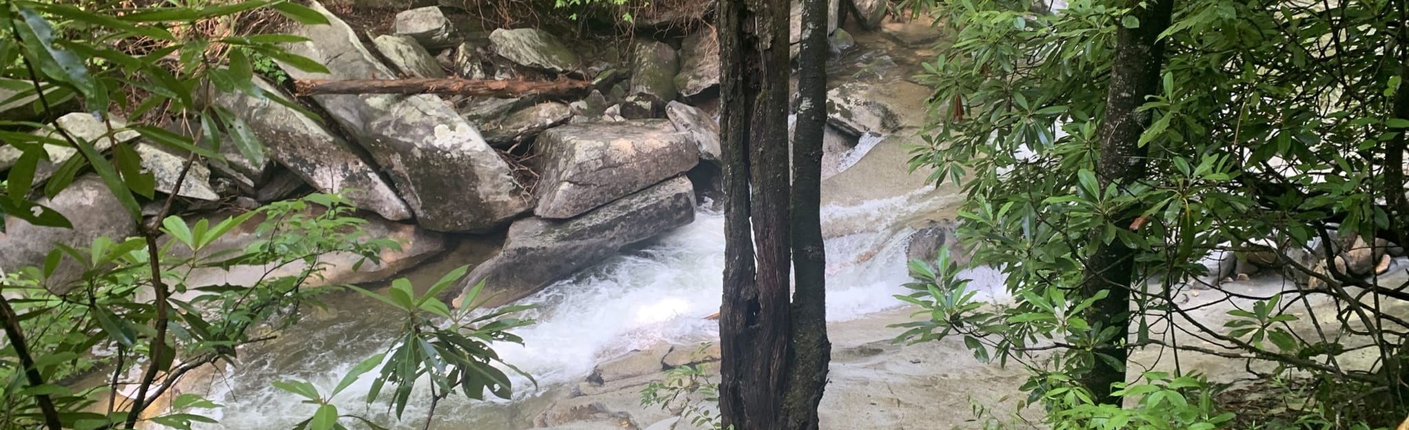 Davidson River Trail to Whaleback Falls, North Carolina - 122 Reviews ...