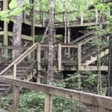 Tree Top Nature Trail, Alabama - 259 Reviews, Map | AllTrails