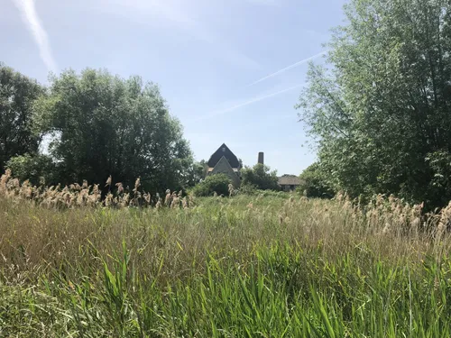 10 Best Trails and Hikes in Cambridgeshire | AllTrails