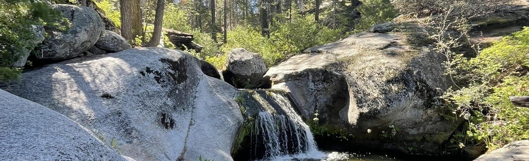 Viola Falls: 367 Fotos - Kalifornien | AllTrails