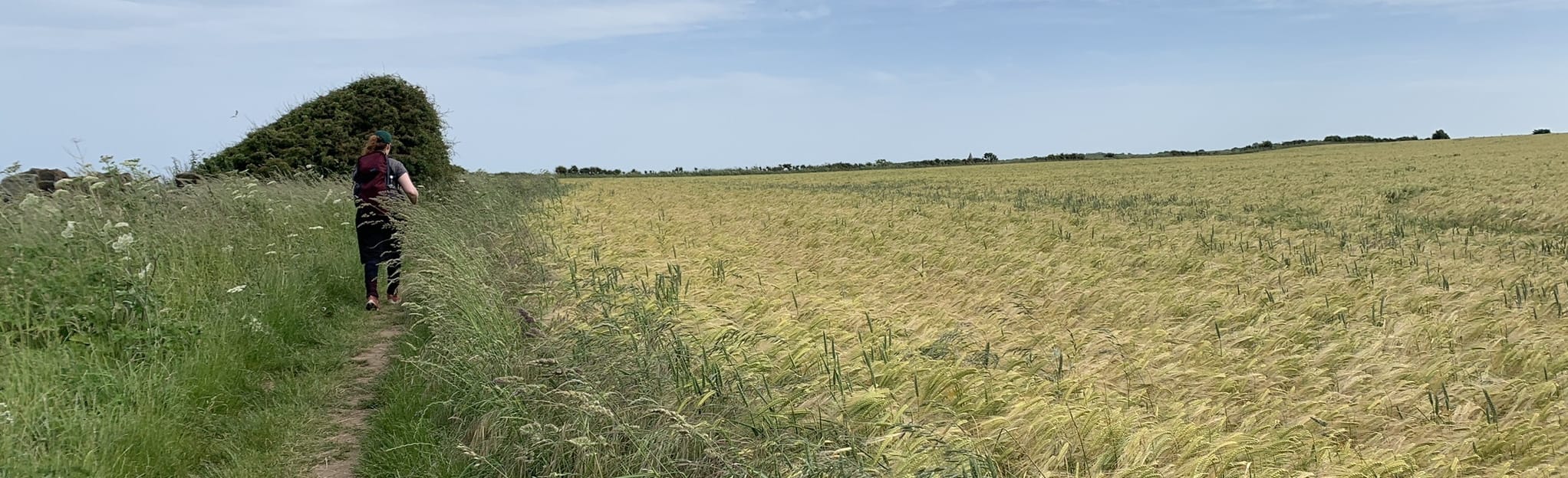 Lythe and Kettleness Circular: 19 Reviews, Map - North Yorkshire ...