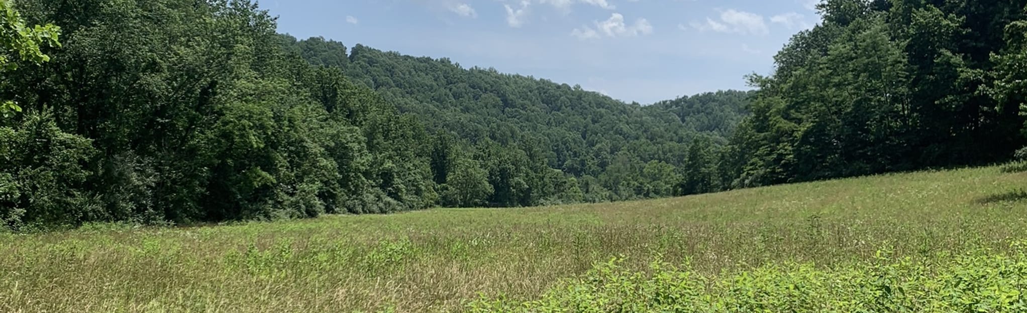 High Top Mountain, Virginia - 16 Reviews, Map | AllTrails