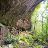 Big Ridge, Tennessee - 65 Reviews, Map | AllTrails