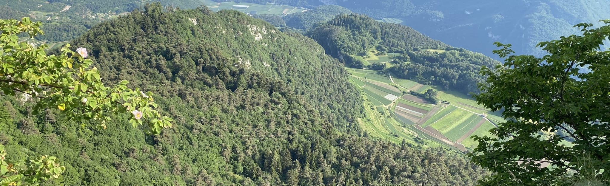 Pannone - Monte Creino - Passo Bordala, Trentino, Italy - Map, Guide ...