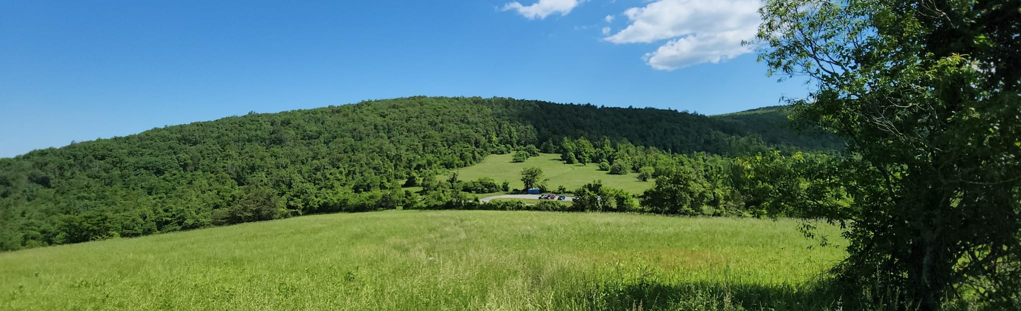 Bear Den Mountain via Appalachian Trail, Virginia - 177 Reviews, Map ...