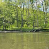 Clarion River Canoe Trip, Pennsylvania - 24 Reviews, Map | AllTrails