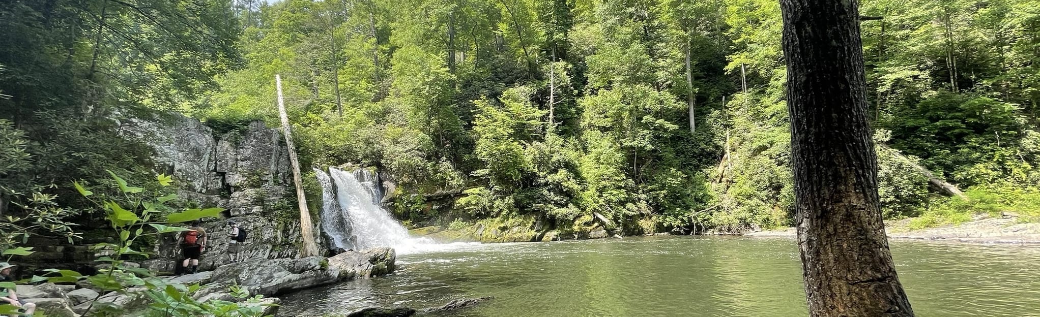 Rabbit Creek Trail to Abrams Falls Trail Loop: 61 Reviews, Map ...