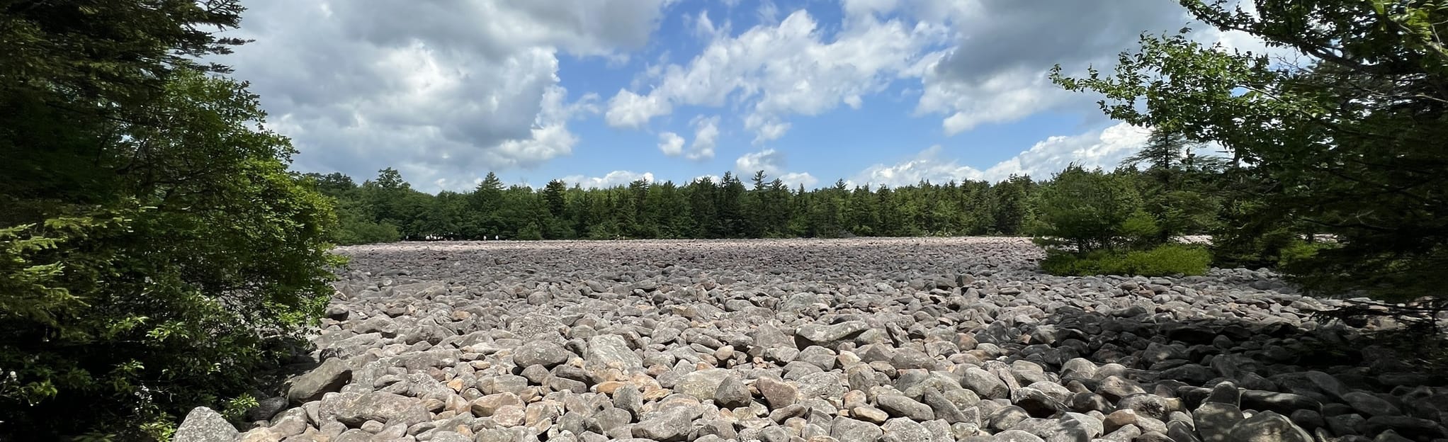Boulder Field Trail, Pennsylvania - 986 Reviews, Map | AllTrails