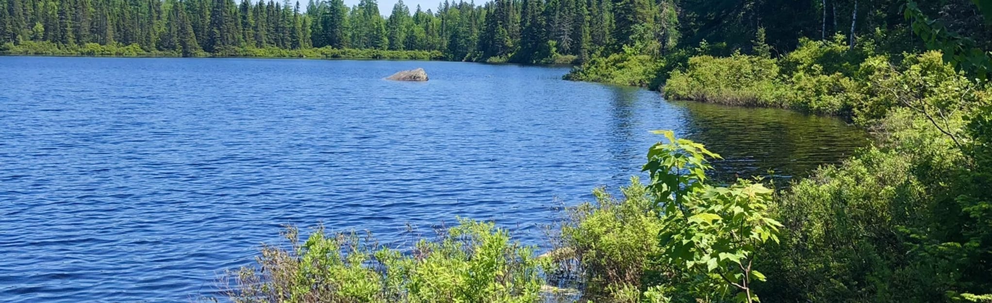 Boucle du Lac Tommy : 43 Photos - Québec, Canada | Randonnée | AllTrails