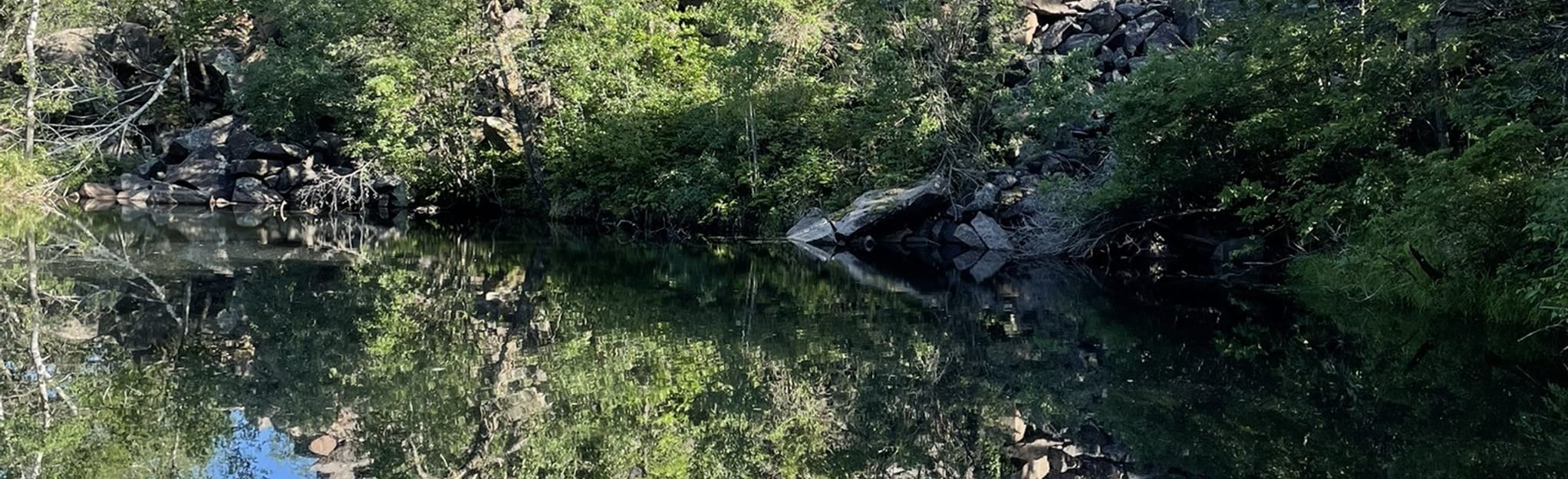 Quarry Park Outer Loop: 294 Reviews, Map - Minnesota | AllTrails