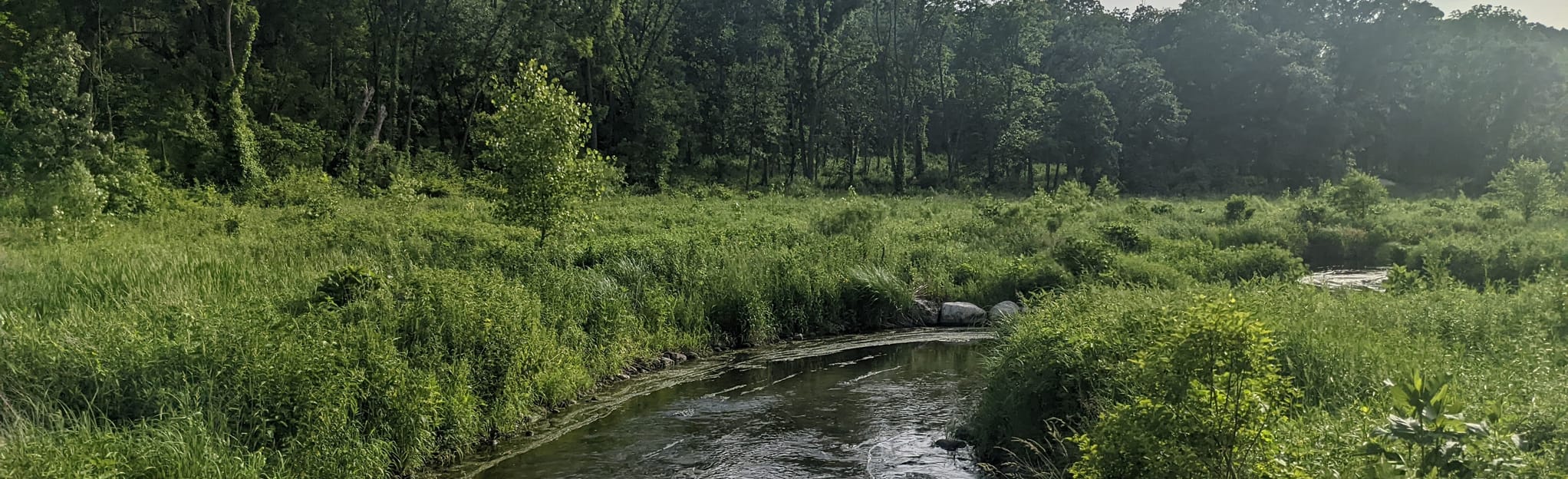 St James Farm Trail, Illinois - 678 Reviews, Map | AllTrails