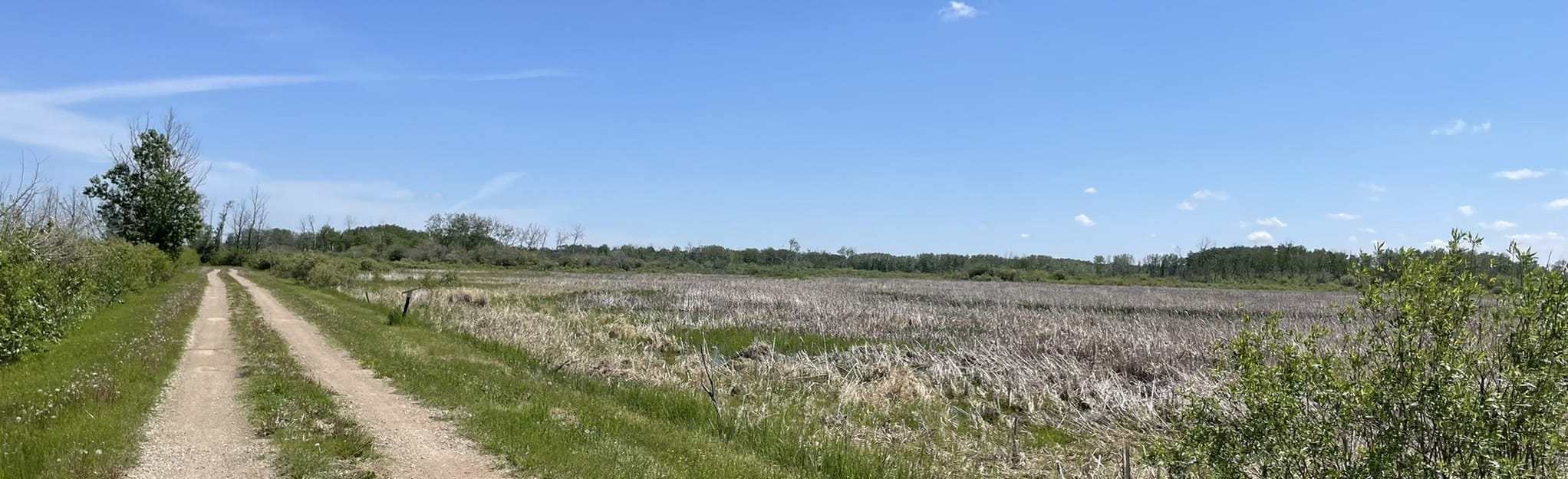 Good Spirit Dunes Discovery Trail: 52 Reviews, Map - Saskatchewan ...