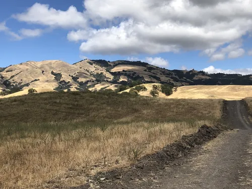 Best Mountain Biking Trails in Mount Diablo State Park | AllTrails