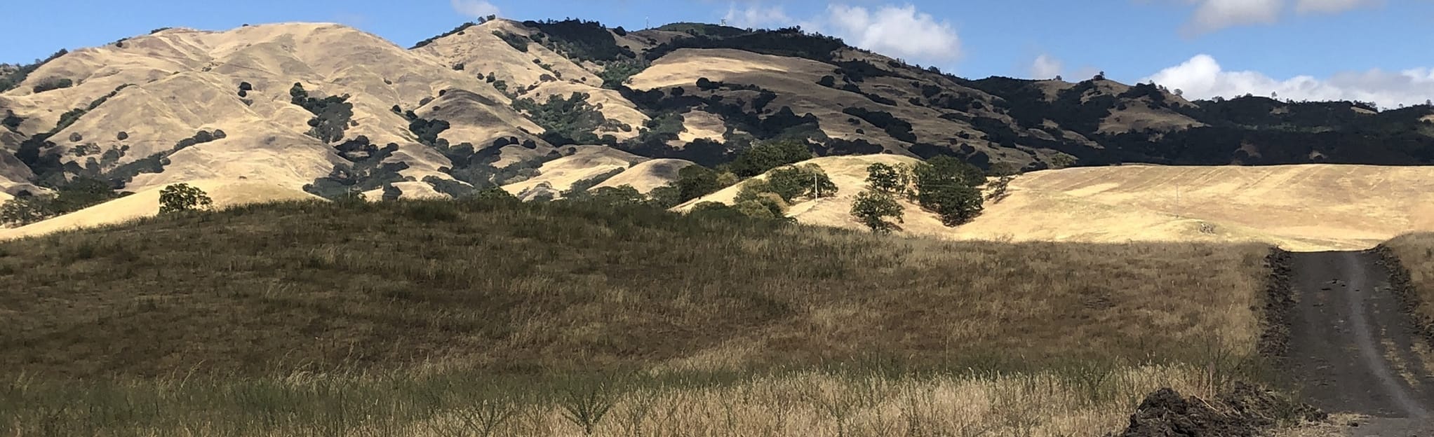 Stage Road, Mount Diablo, Wall Point and Borges Trail Loop, California ...